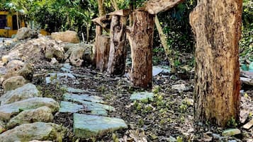 Terrenos do alojamento