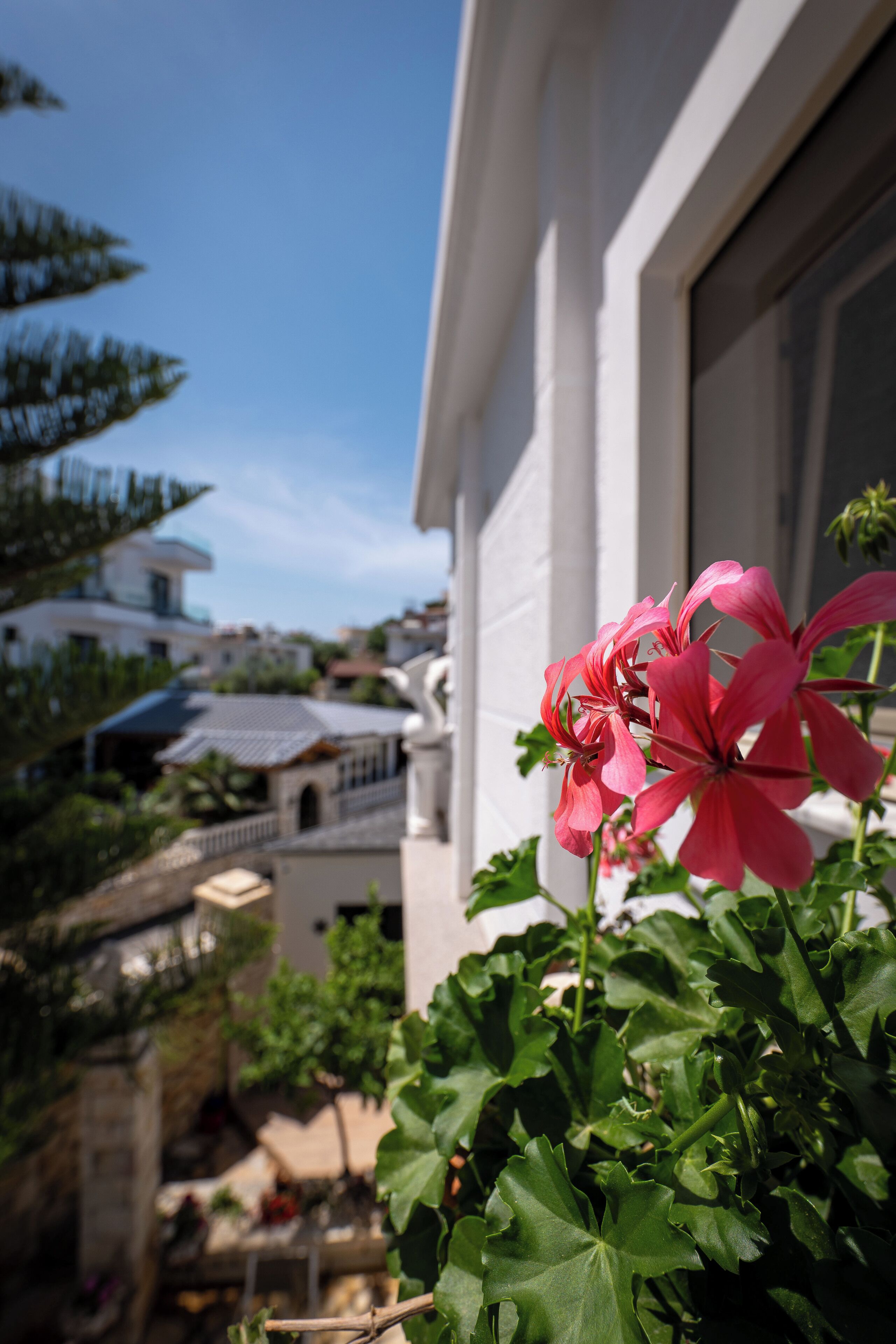 Vista de um edifício com flores cor-de-rosa ao primeiro plano e um céu azul límpido ao fundo.