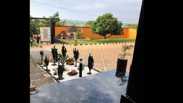 Um pátio com calçada, cactos e uma árvore.