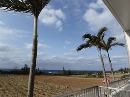 Quarto, para não fumantes (Grand blue 102) | Terraço/pátio