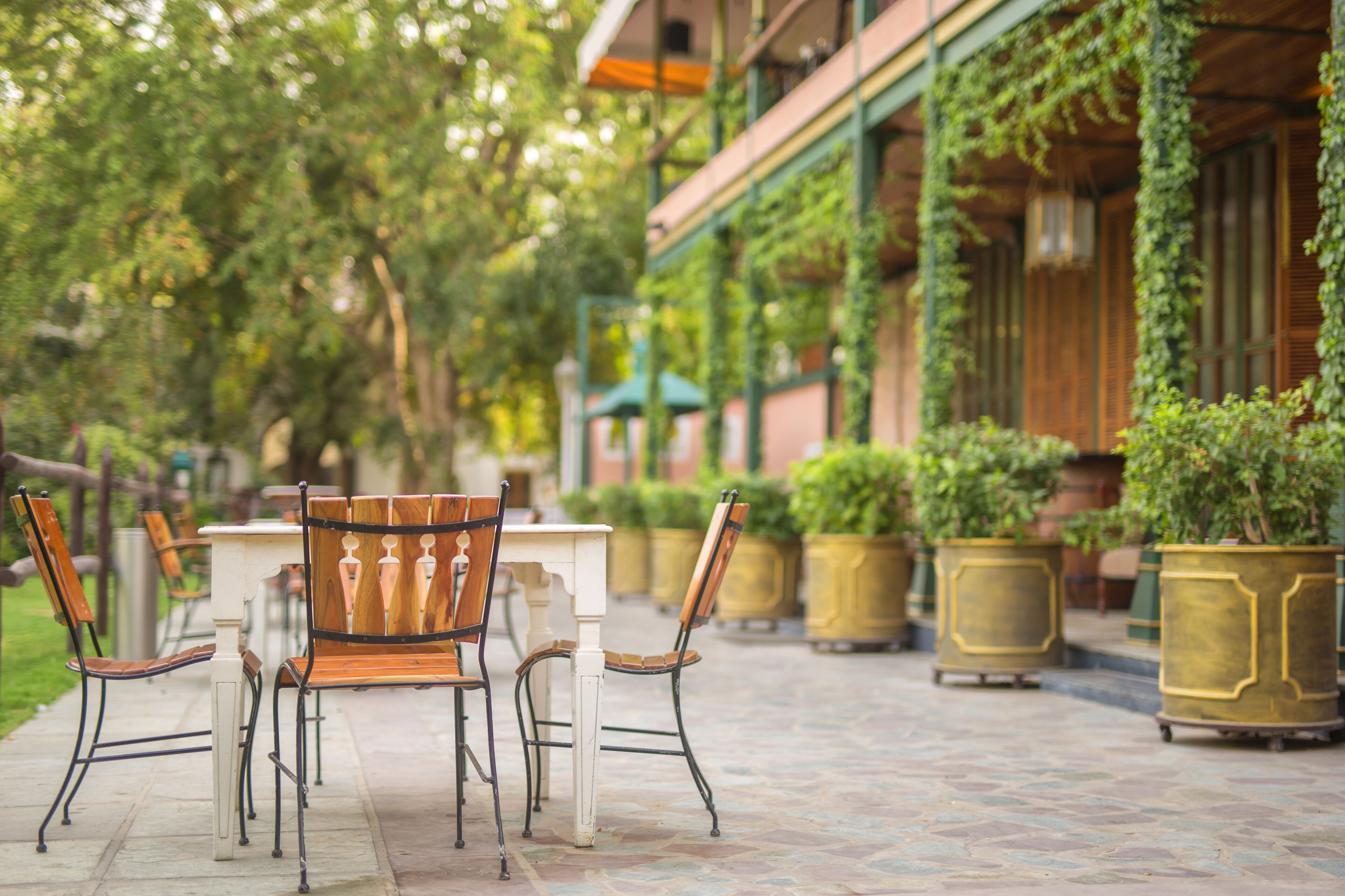 Um pátio externo com mesa e cadeiras, rodeado por plantas em vasos e um edifício coberto por trepadeiras verdes.