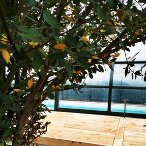 Piscina interior, piscina exterior sazonal 