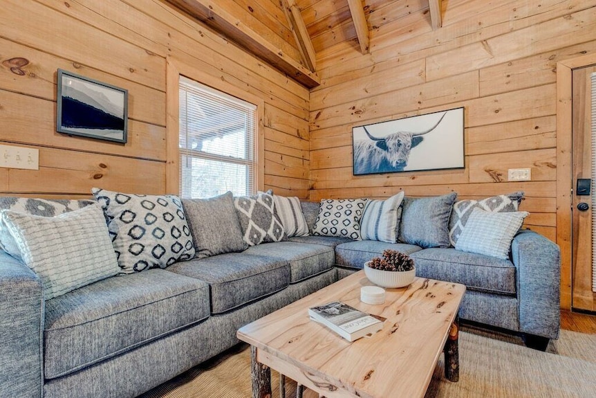 Jacuzzi | 2 Kings | Games | Pool | Fireplace | Bbq - Blue Ridge Mountains