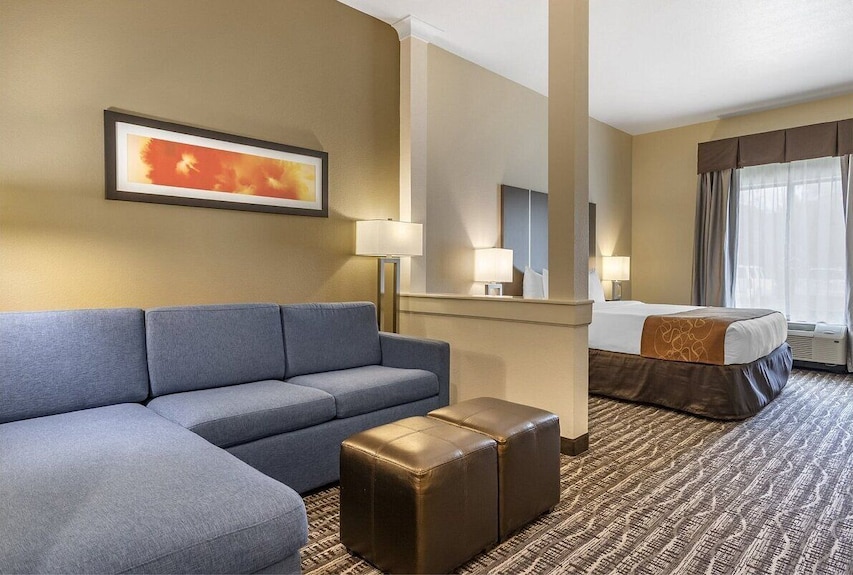 Chic Hotel With Ac And Fitness Room In Marvelous Houston - 休斯敦