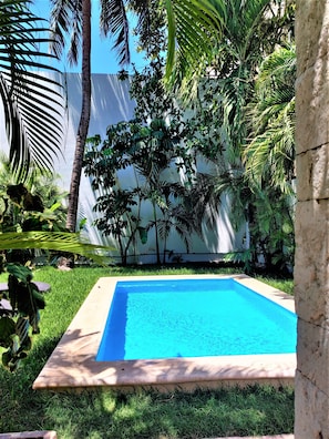 Piscina externa