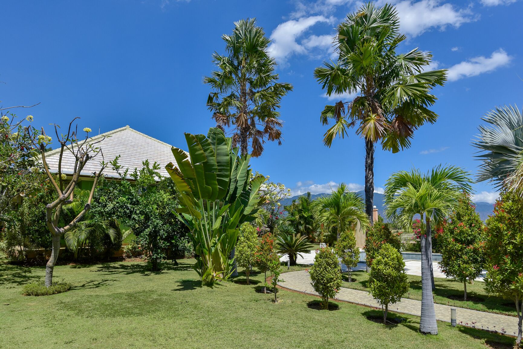 Um jardim exuberante com palmeiras e um edifício com teto branco.