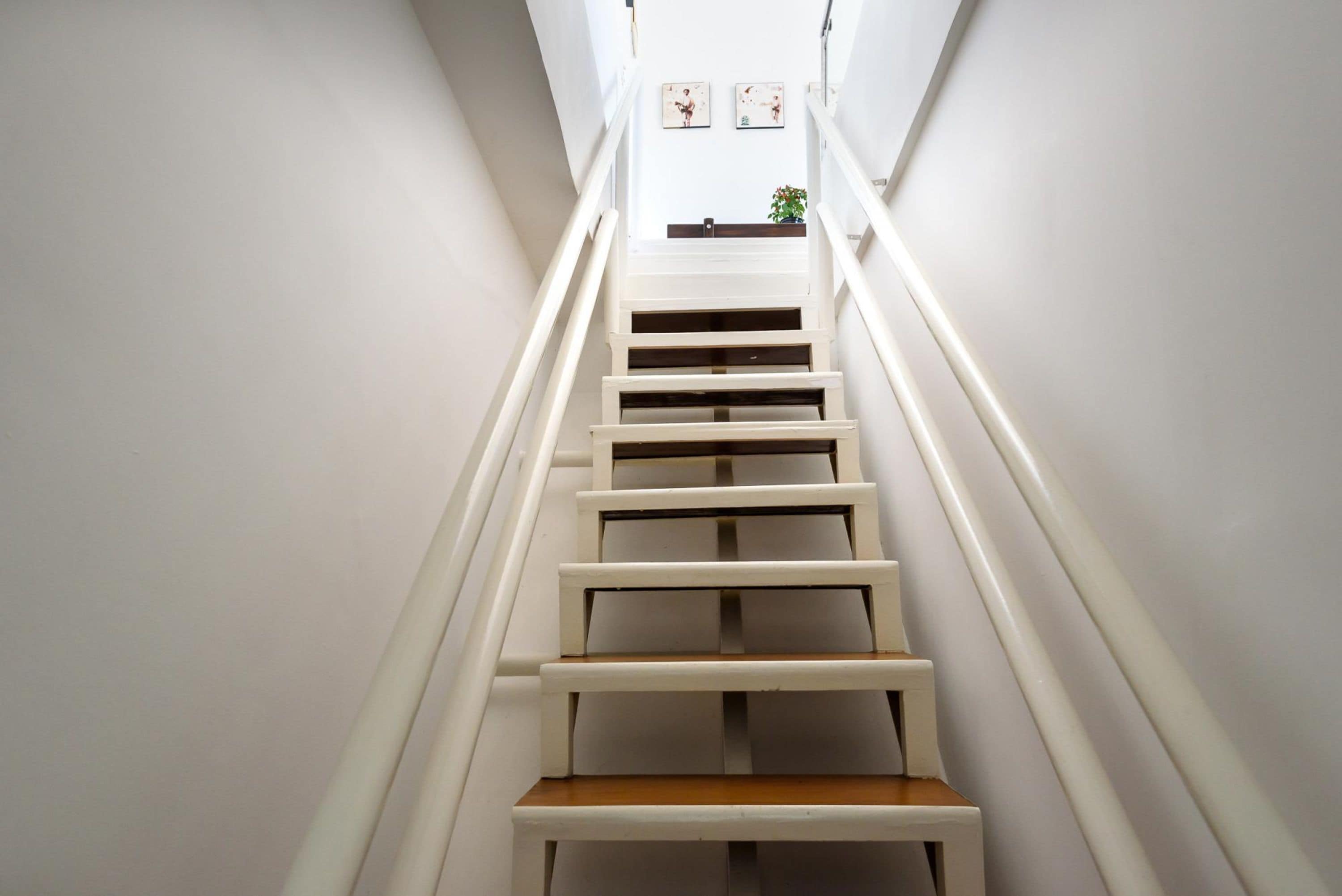 Apartamento | 1 quarto 