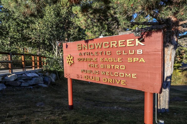 Perfect Retreat In A Quiet Forest Setting. Remodeled & Near Town Trolley Stop - Mammoth Lakes, CA
