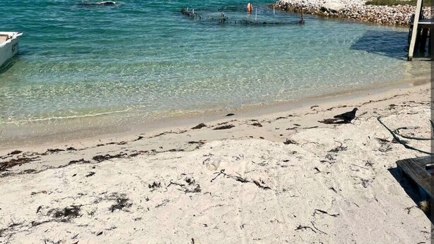 Uma praia com águas turquesa cristalinas, um barco e um paredão rochoso.