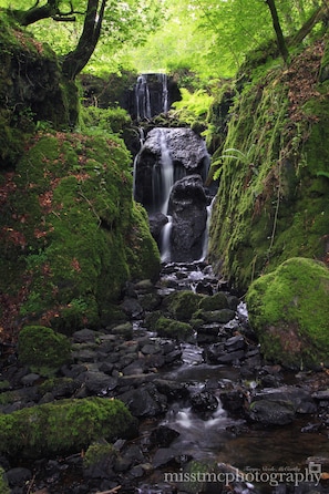 Uma cascata natural rodeada por rochas cobertas de musgo e vegetação densa.