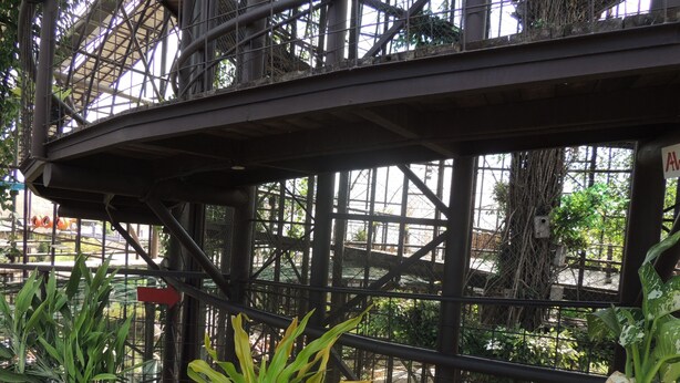 Jardim