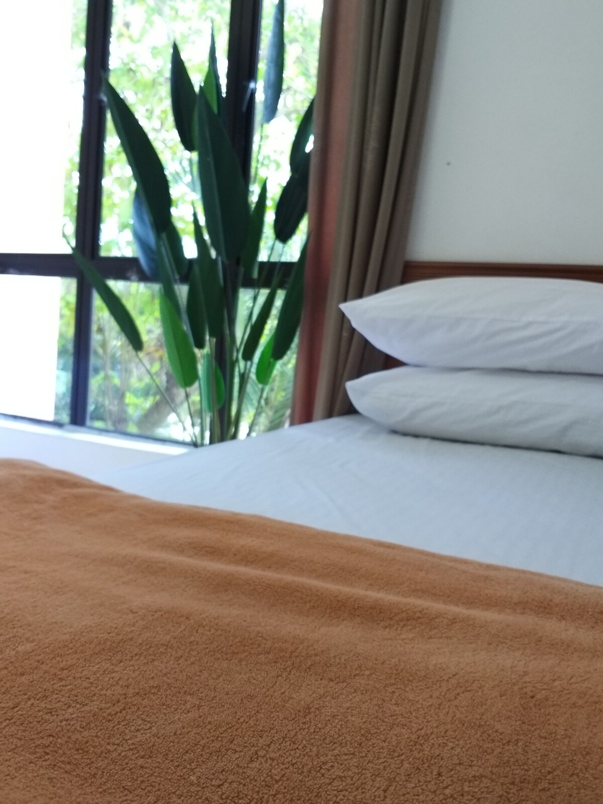 Lumut Manjung Perak Homestay swimming pool eta 0136288405 Reviews ...