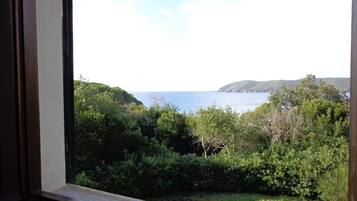 Vista através de uma janela mostrando uma paisagem costeira com vegetação densa e céu claro.