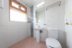 Casa de banho com sanita branca, lavatório, espelho e chuveiro.