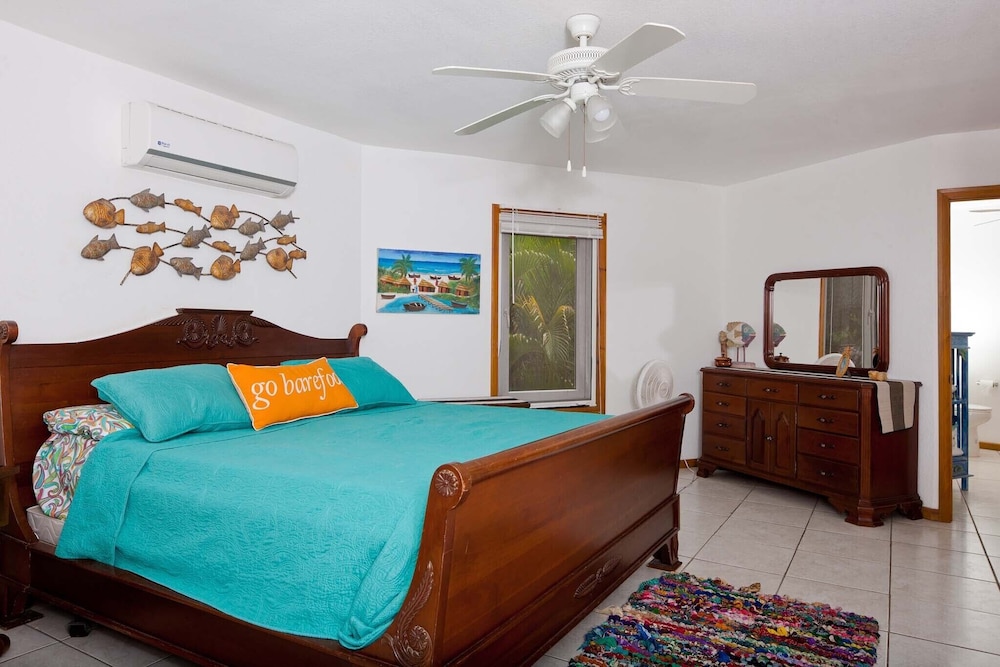 Beachfront Villa! Snorkel & Explore The Amazing Reef! Experience Caribbean Life! - Sandy Bay