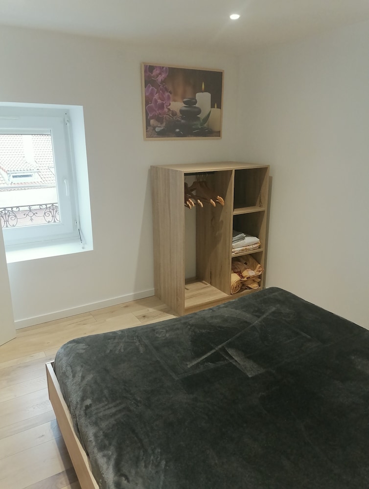 Bel Appartement Dans Petite Copropriété - Roanne