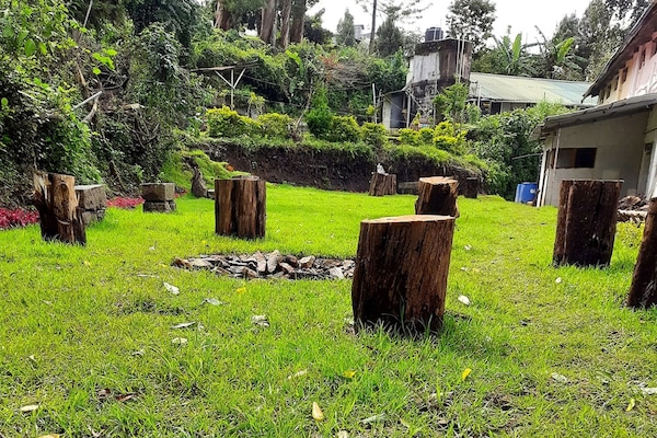 Jardim