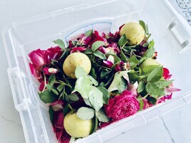 Recipiente de plástico transparente cheio de maçãs verdes e rosas vermelhas.