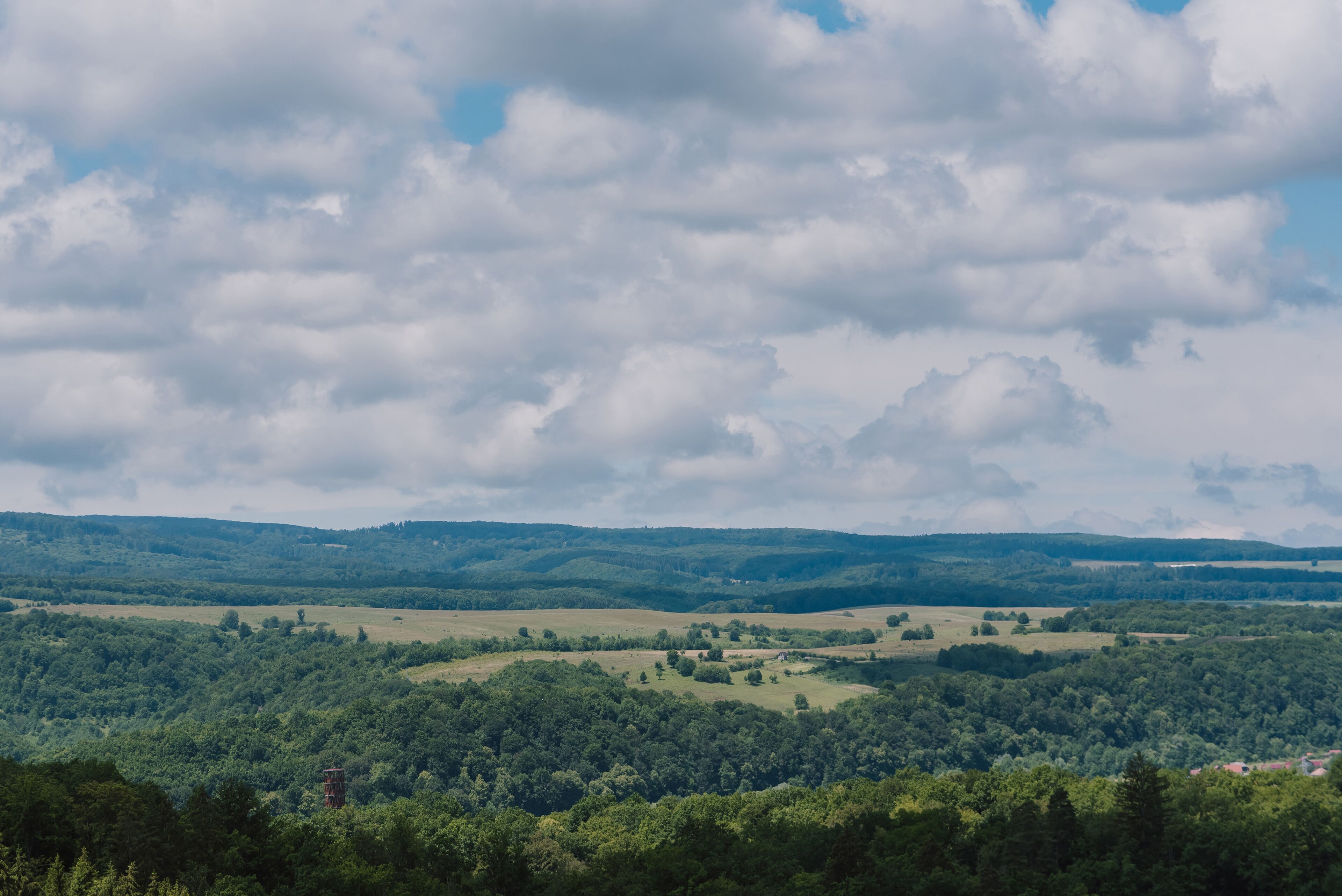 Vista panorâmica de uma paisagem verdejante, com colinas ondulantes e árvores dispersas.