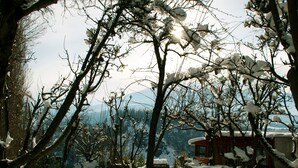 Paisagem coberta de neve com uma cabana de madeira e um banco.