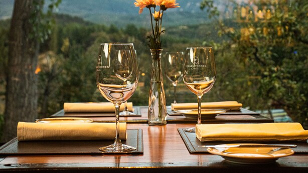 Mesa de jantar posta com copos de vinho, um vaso com flores e vista para a montanha ao fundo.