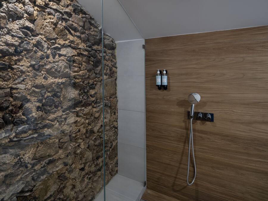 Chuveiro com parede de painel de madeira, box de vidro e duas garrafas de shampoo.