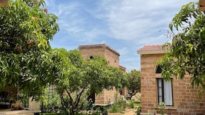 Um pátio com caminho de tijolos, cercado por vegetação e um edifício com telhado de cerâmica.