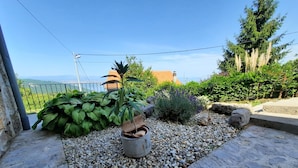 Um jardim com diversas plantas, um vaso de metal e um caminho de pedra.