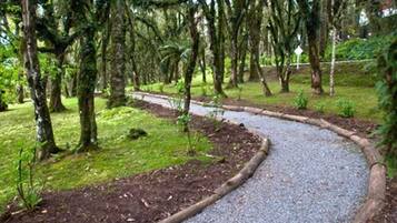 Terrenos do alojamento