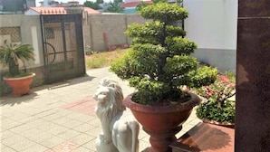 Um pátio com uma árvore bonsai em vaso, uma estátua de leão de pedra e uma entrada com portão.