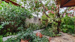 Um jardim exuberante com diversas plantas e um caminho.