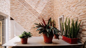 Interior com paredes de pedra, uma mesa e plantas em vasos.