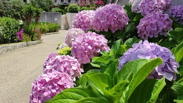 Apartamento, 2 quartos, varanda | Jardim