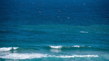 Vista para a praia ou o mar