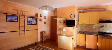 Estúdio | Kitchenette privada | Um frigorífico, um forno, uma placa de cozinha, utensílios de cozinha 