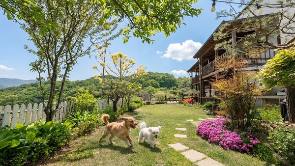 Gapyeong Art Pension - Chuncheon-si