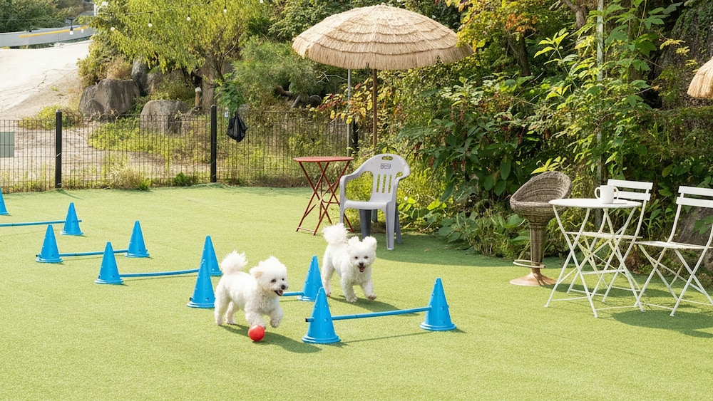 가평 아름마루 독채애견펜션 - 이천시