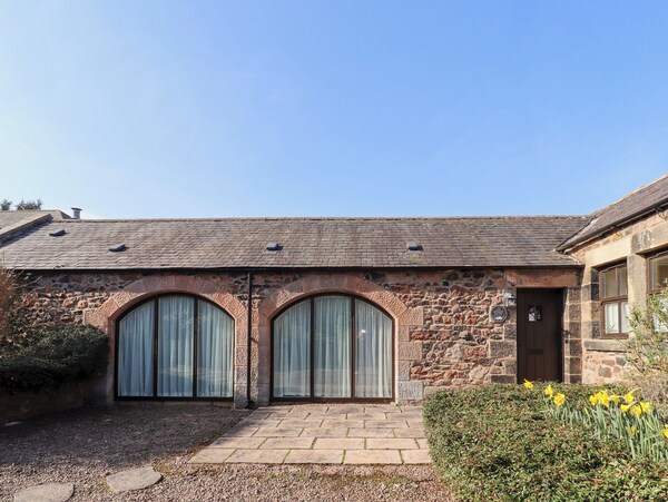 Pansy Plot - Northumberland