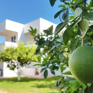 Fachada do alojamento