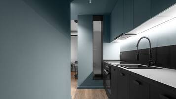 Apartamento Comfort | Cozinha privada | Um frigorífico, um forno, uma chaleira elétrica, uma torradeira