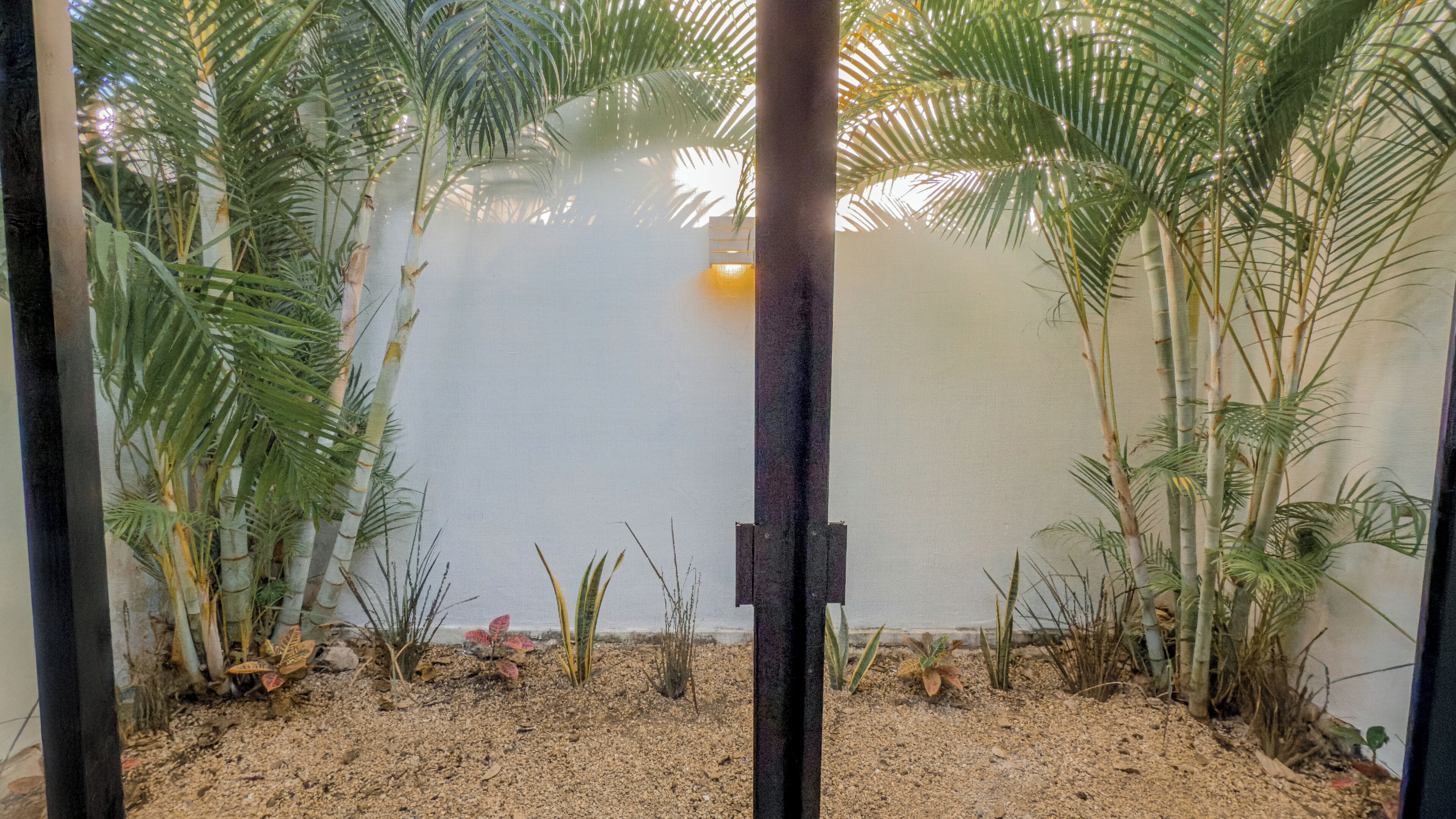 Vista pela janela, emoldurada por metal, de um quarto com piso de areia e diversas plantas, incluindo palmeiras e outras folhagens.
