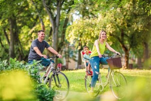 Uma família em bicicletas num parque com árvores e relva.