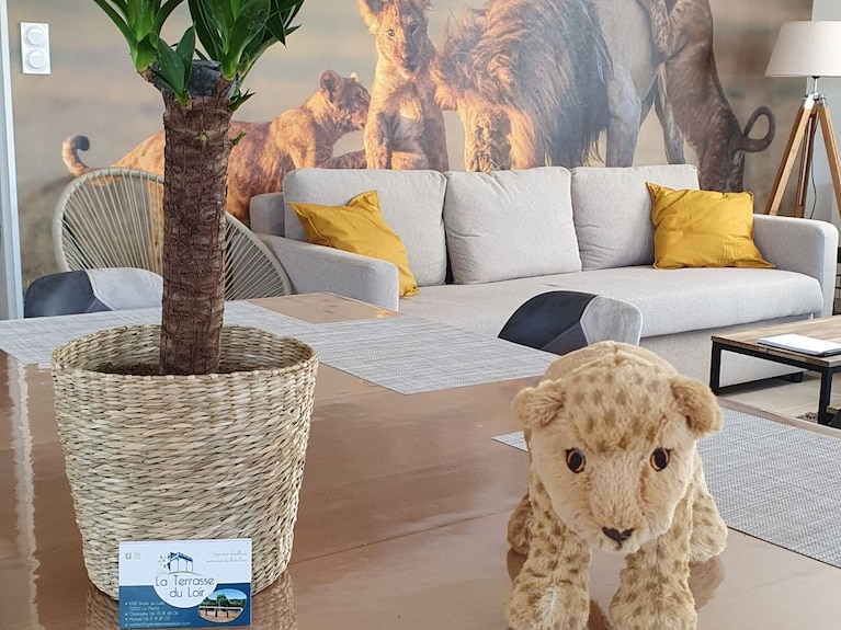 Gîte Familial Avec Piscine Privative Chauffée, Terrasse Sur Le Loir Et Proche Du Zoo De La Flèche - Pays de la Loire