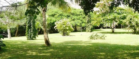 Vila superluxo | 5 quartos, espaço de trabalho para notebook