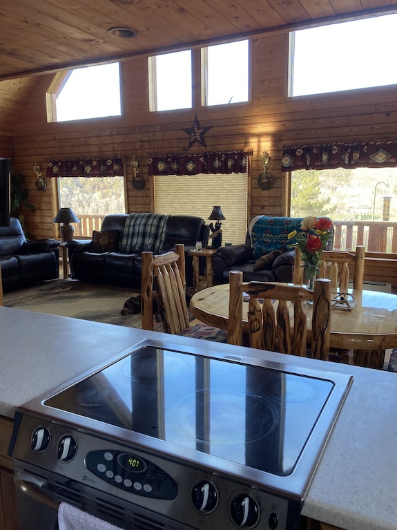 Cozy, Quiet Small Town Log Home. With Beautiful Mountain View. - Mesa, CO