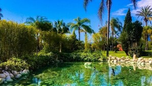 Um lago límpido com pedras e nenúfares, rodeado por vegetação exuberante e palmeiras.