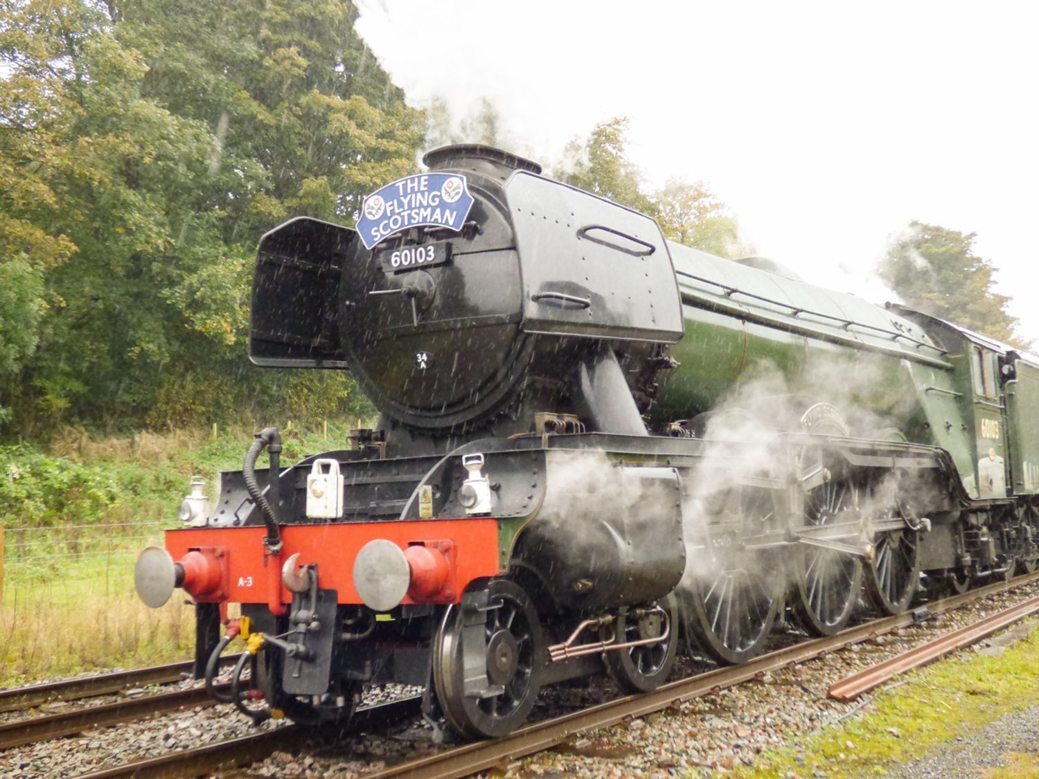 Uma locomotiva a vapor com o número 60103, chamada 'The Flying Scotsman', percorrendo trilhos cercados por vegetação.