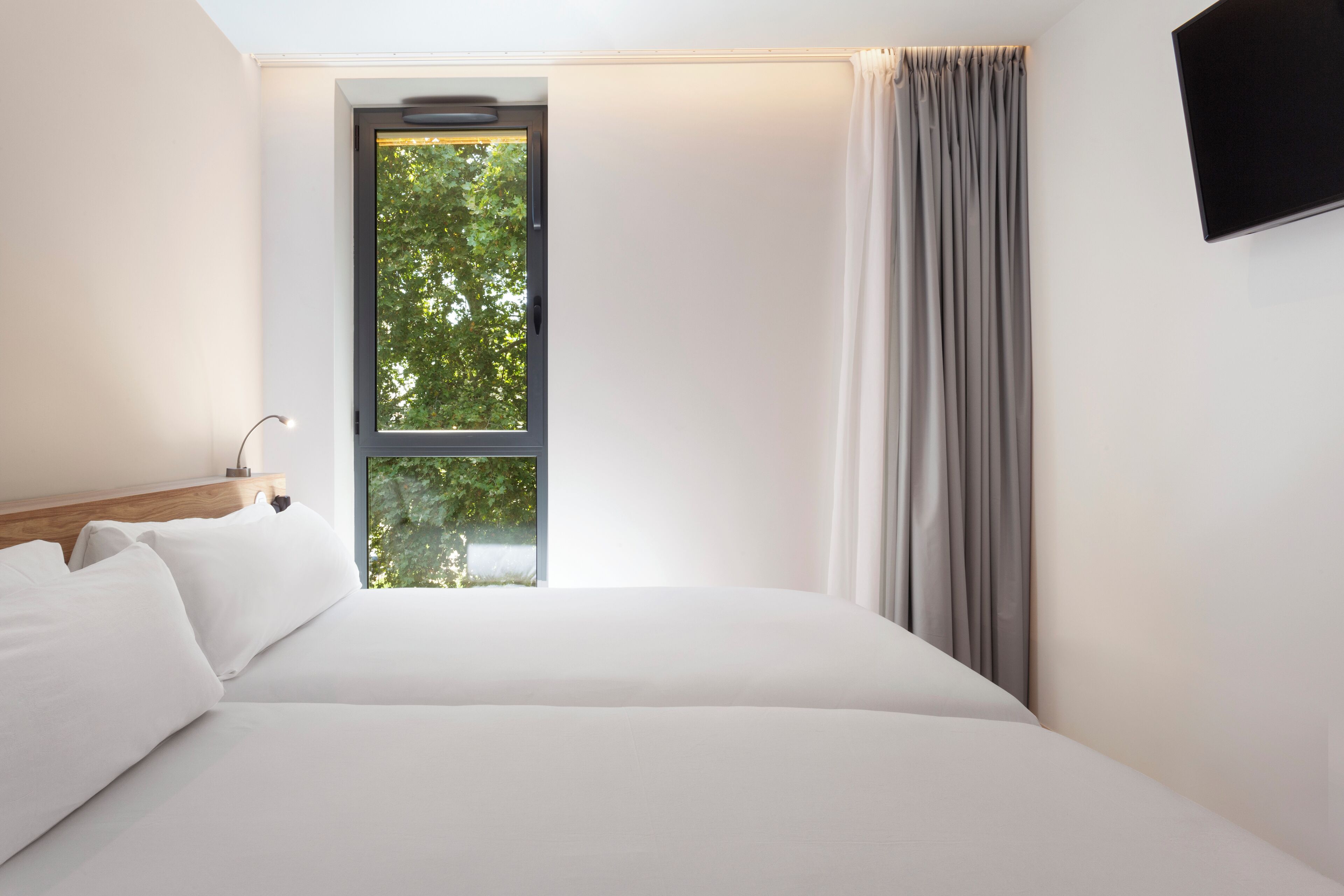 Quarto de hotel moderno com uma cama grande, janela com vista para árvores e televisão de tela plana na parede.