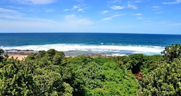 Paisagem costeira com vegetação verde densa, uma praia de areia e o oceano.