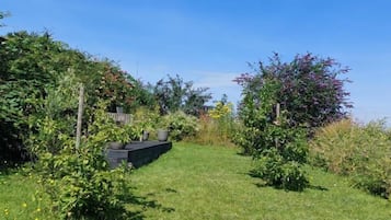 Jardim